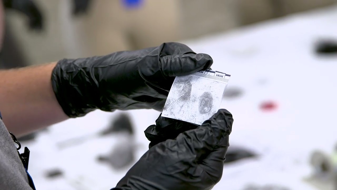 FBI Fingerprinting for Government Jobs and Security Clearances – PDX ...